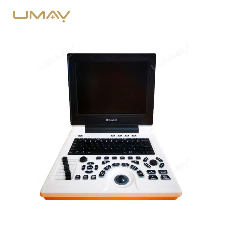 Portable 3D/4D Color Doppler Ultrasound Machine with High-Quality Imaging