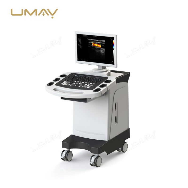 3D Imaging Color Ultrasound Machine with Linear and Convex Probes for ...