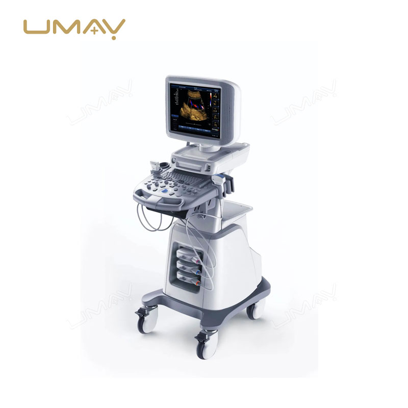 Trolley-Based Digital Diagnostic Ultrasound System with Color Doppler