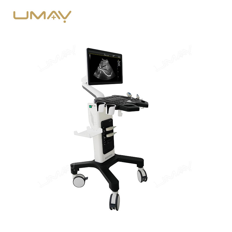 Trolley Color Doppler Ultrasound Machine with 21.5-Inch Medical-Grade ...