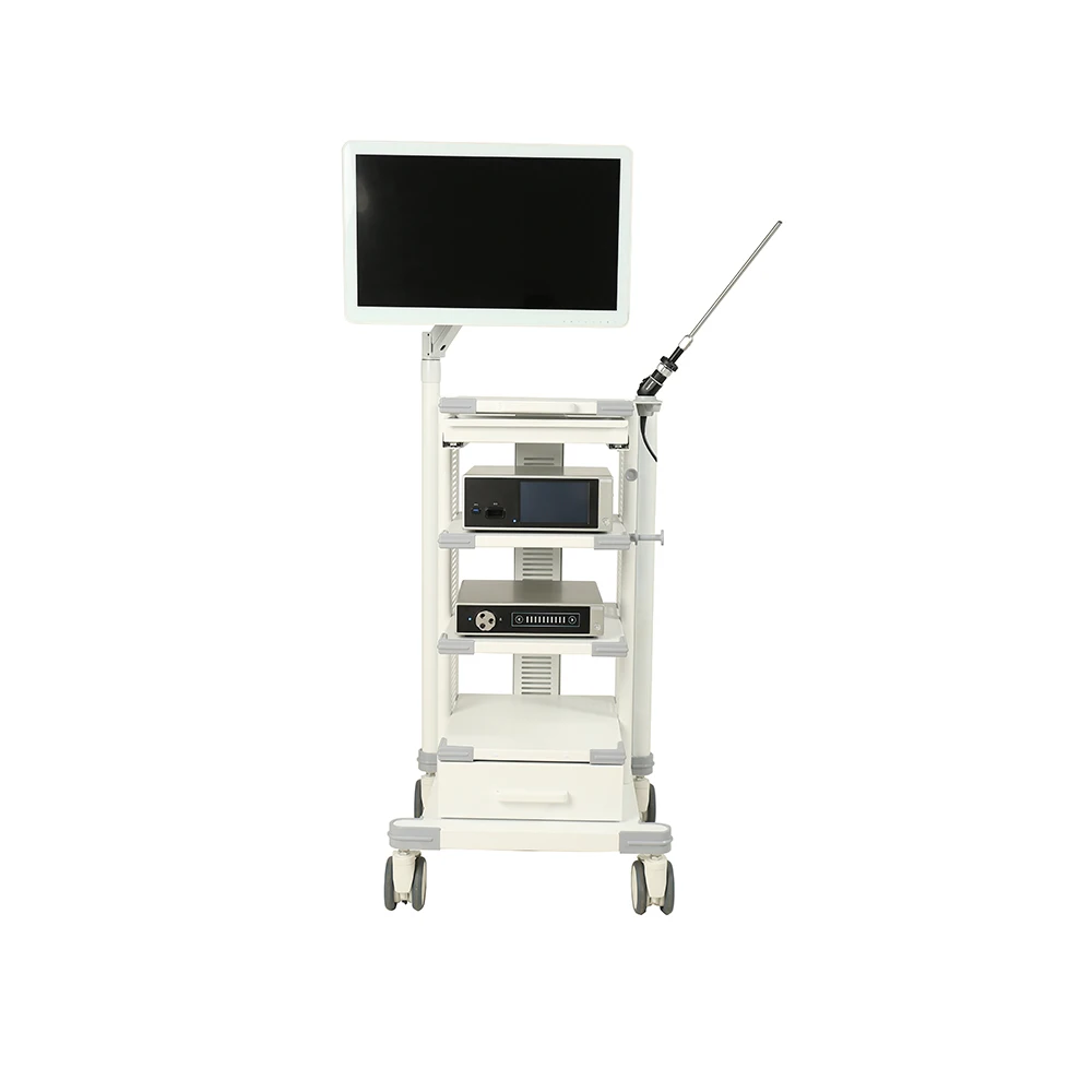 Veterinary Full HD Rigid Endoscope Camera System at Competitive Price
