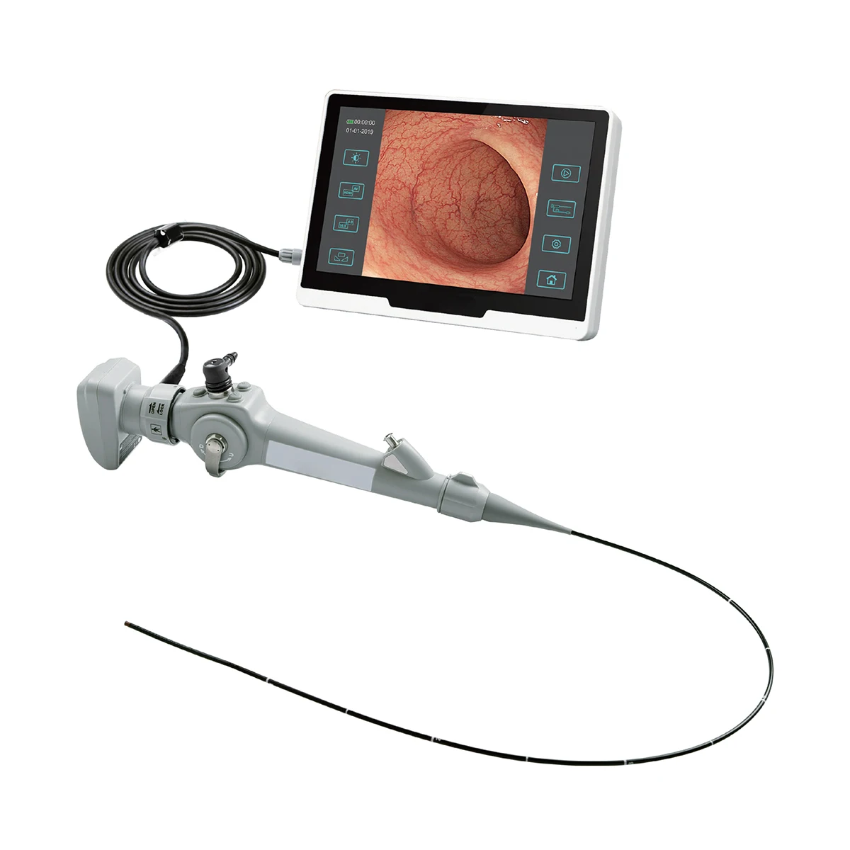 Portable USB Veterinary Endoscope for Upper and Lower Airway Endoscopy ...