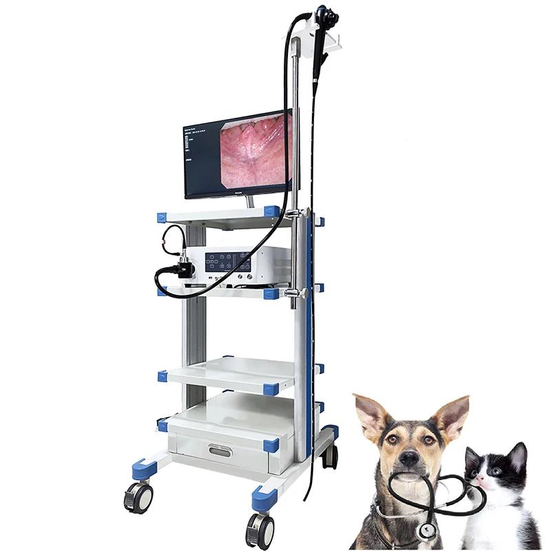 Flexible Veterinary Endoscope - High-Quality Medical Endoscope for ...