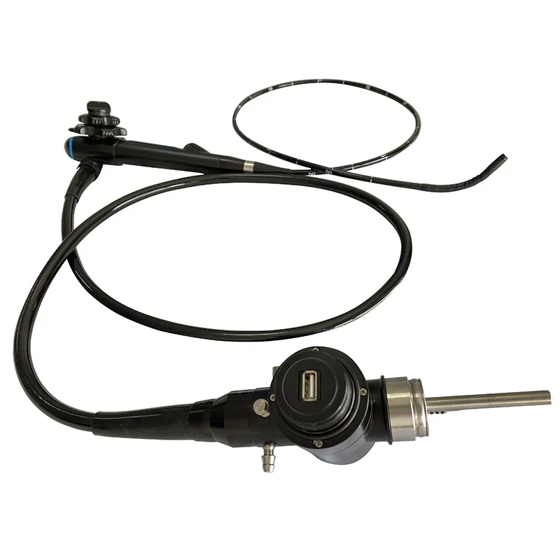 High-Quality Portable Veterinary Flexible Endoscope and Gastroscope for ...