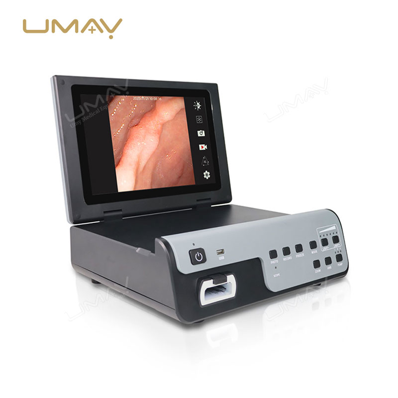 Vet Digital Gastroscopy Endoscopy System Portable for Animal Clinics