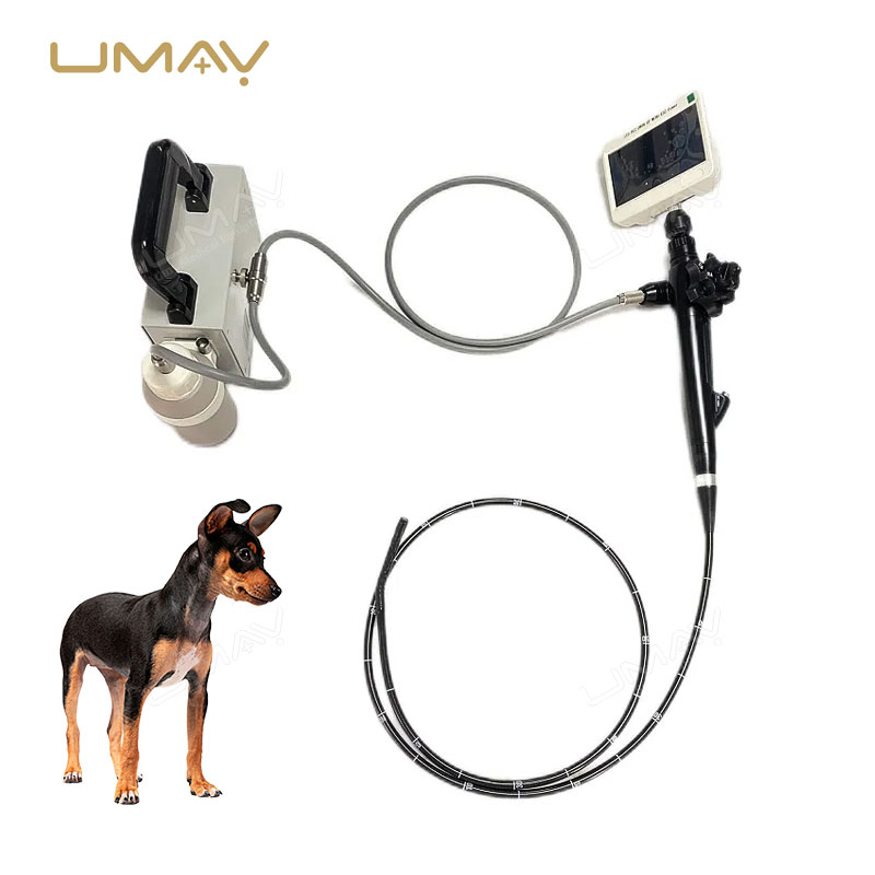 Vet Flexible Fiber Video Endoscope Pharyngoscope for Cats Dogs Cattle ...