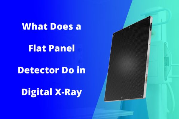 What Does a Flat Panel Detector Do in Digital X-Ray Imaging?