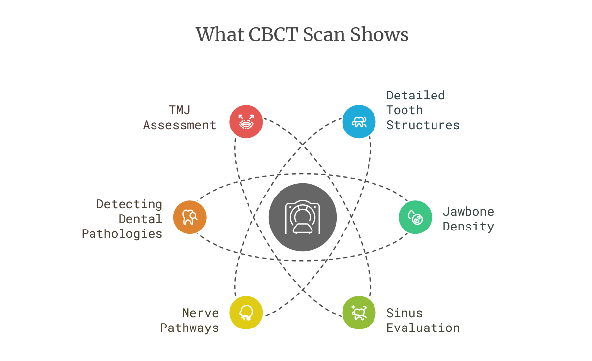 What Does a CBCT Scan Show: Revealing 3D Dental Imaging